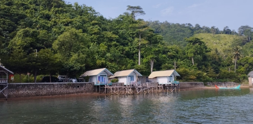 2D1N Dolphin Sighting Lampung