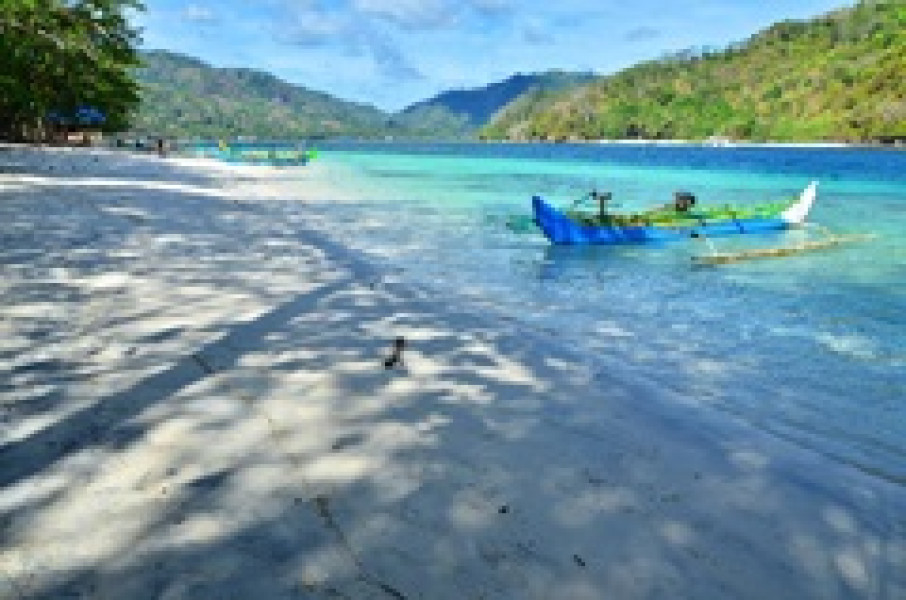 2D1N Dolphin Sighting Lampung